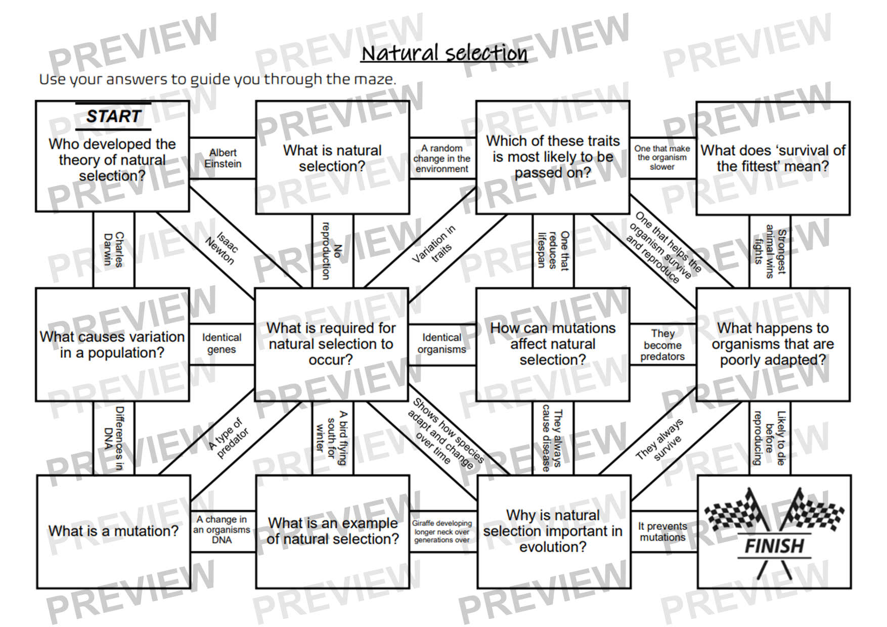 Natural Selection Maze Worksheet | KS2–KS3 Science Revision Activity ...