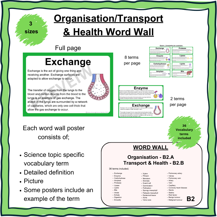 SCIENCE WORD WALL - BIOLOGY B2 - ORGANISATION/TRANSPORT & HEALTH ...