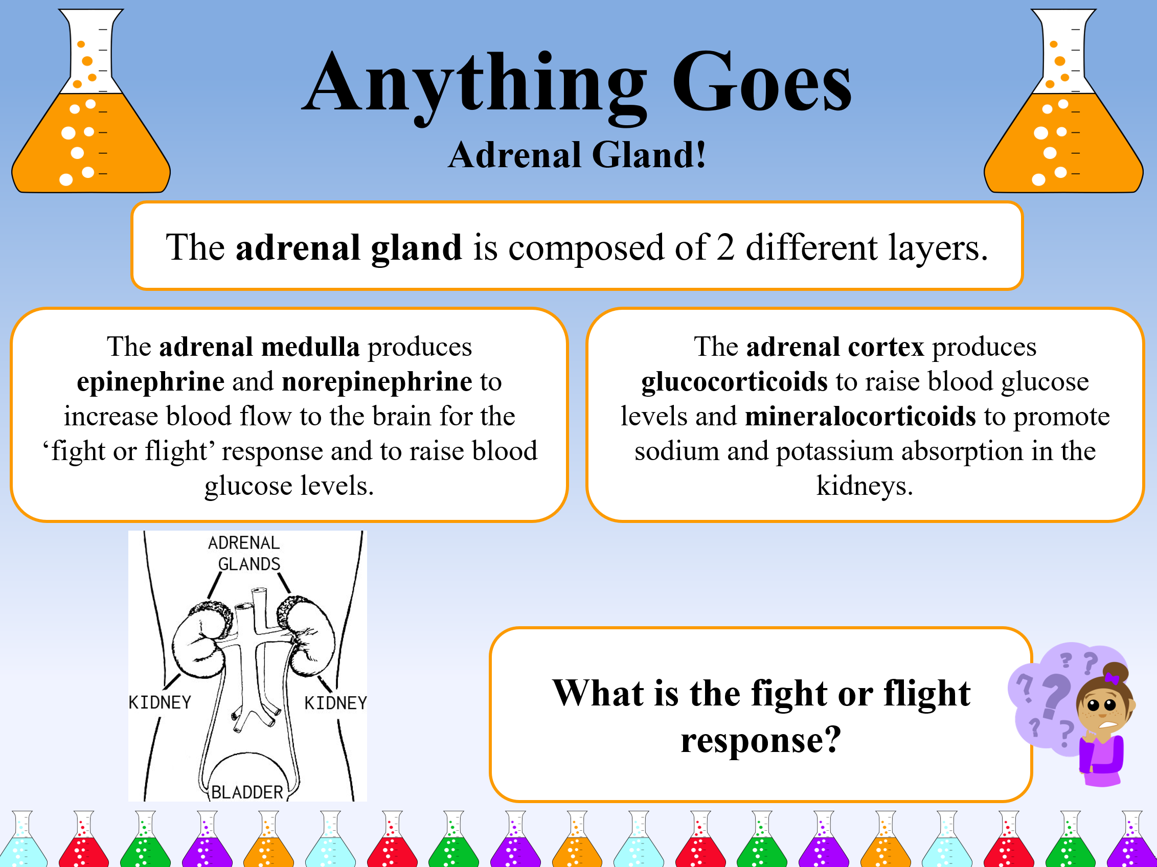 Four Weeks of Human Body Part 2 Bellringers Warm Ups | Teaching Resources