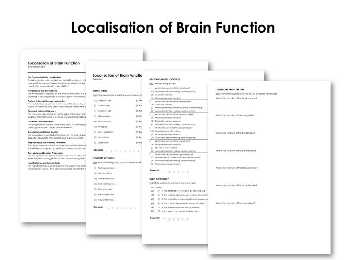Localisation of Brain Function | Teaching Resources