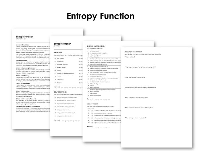 Entropy Function Teaching Resources