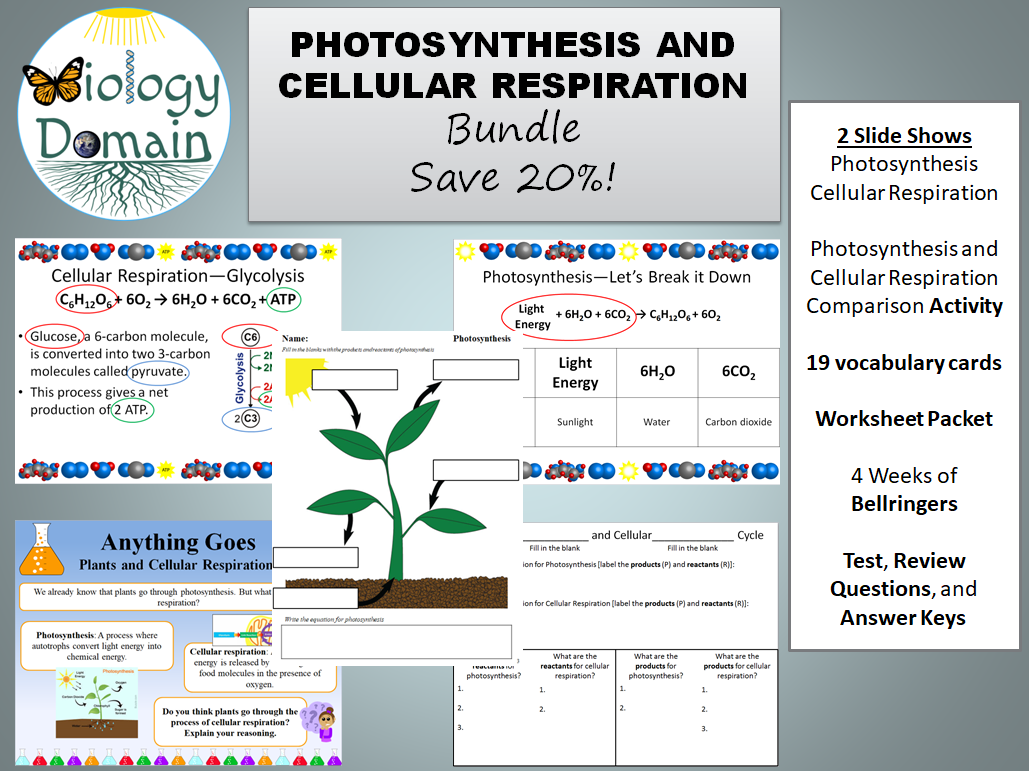 Photosynthesis And Cellular Respiration Bundle Teaching Resources