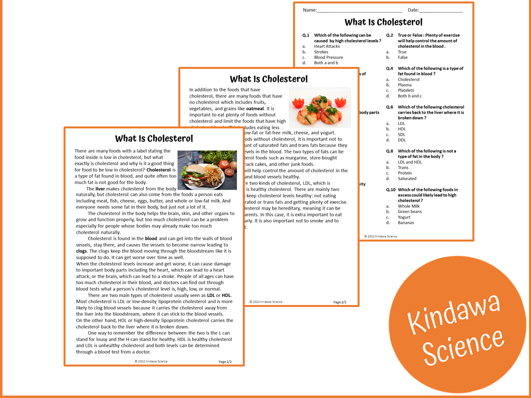 What Is Cholesterol Reading Comprehension Passage And Questions PDF 