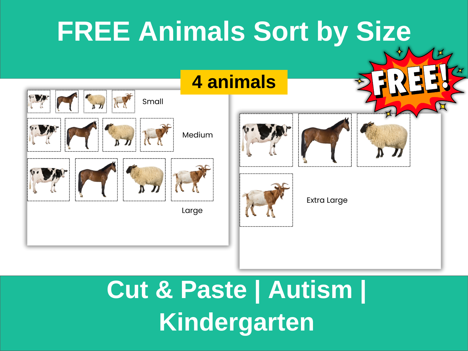 Animals Sort by Size Worksheets – Autism | Teaching Resources