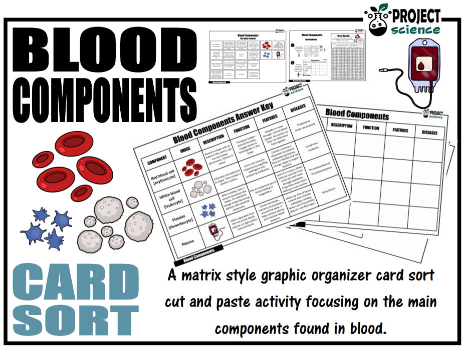 Blood Components Card Sort [Cut and Paste Activity] | Teaching Resources