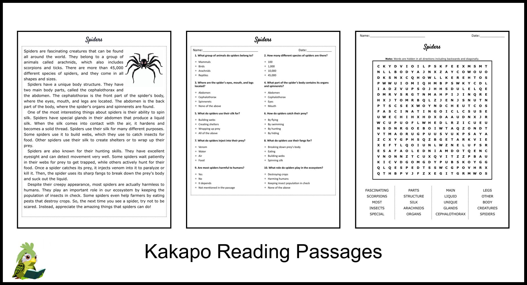 Spiders Reading Comprehension and Word Search | Teaching Resources