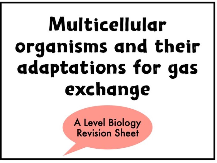 Multicellular organisms and their adaptations for gas exchange (A Level ...