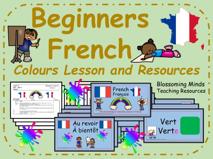 Beginner French 20 lesson bundle - KS2 | Teaching Resources