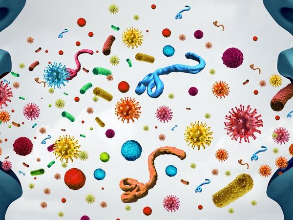 Bacterial, viral and fungal infections card sort | Teaching Resources