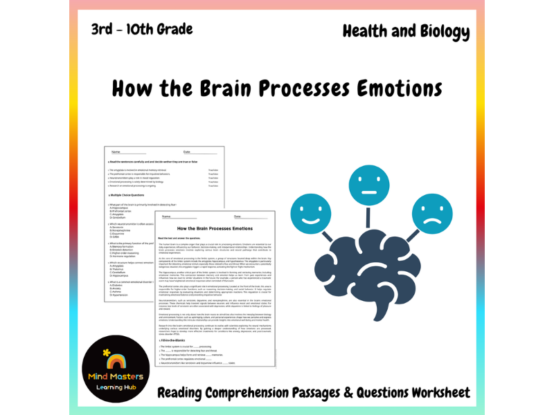 How the Brain Processes Emotions Reading Comprehension Passages ...