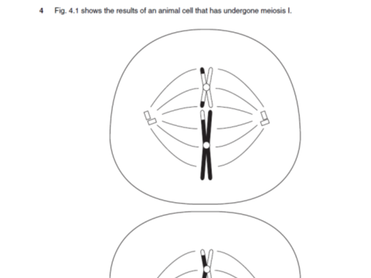 9700 Topic 16 Inheritance exam questions | Teaching Resources