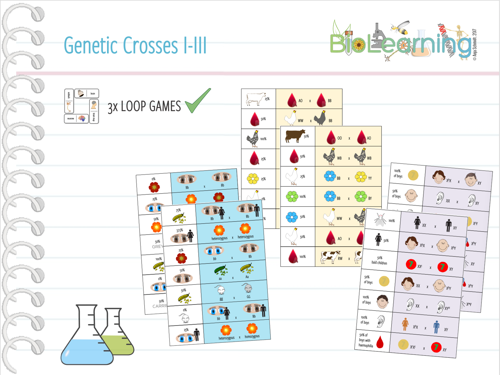 Genetic Crosses I-III - 3x Loop Games (KS4/KS5) | Teaching Resources