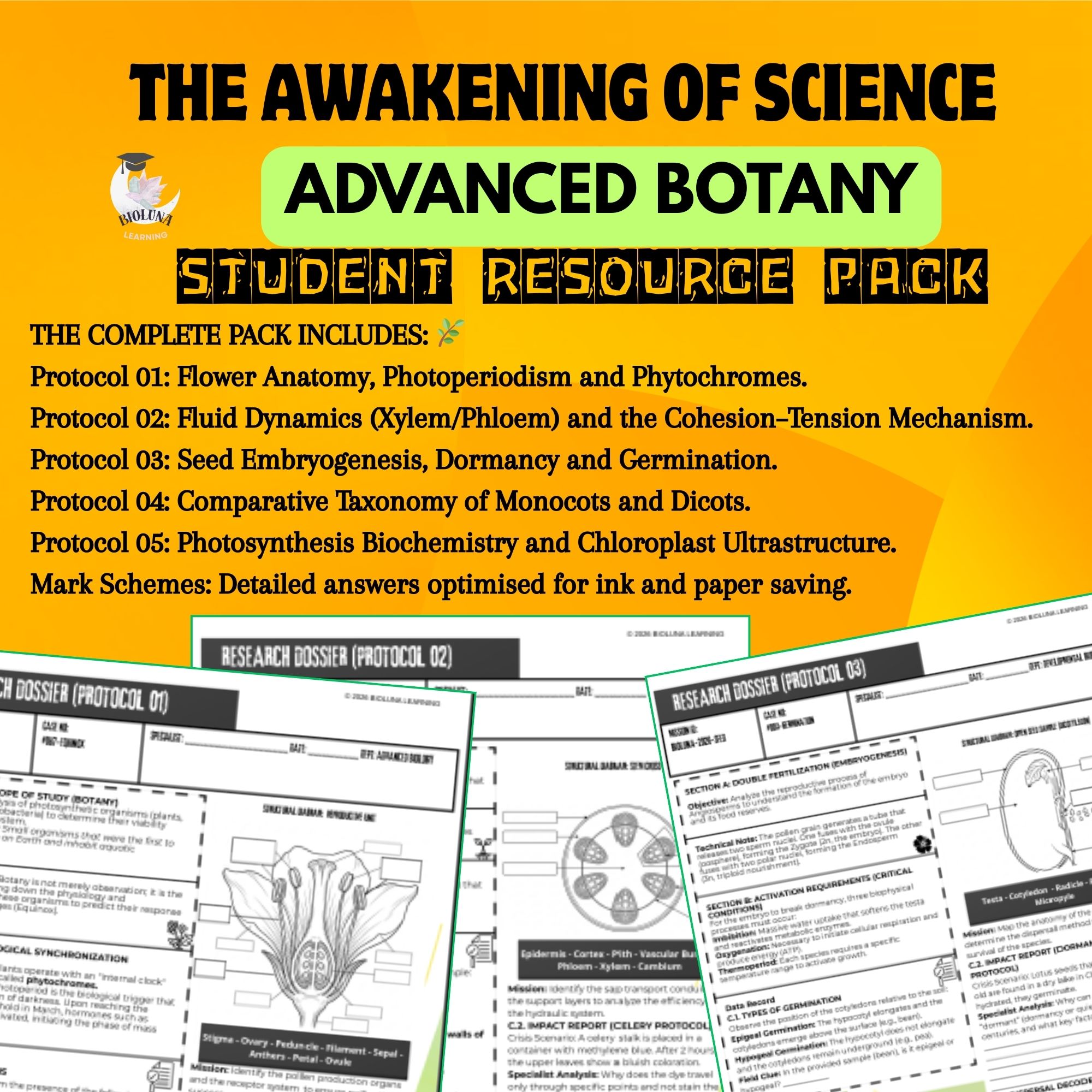 Plant Biology Activities KS4 | Photosynthesis & Botany Project ...