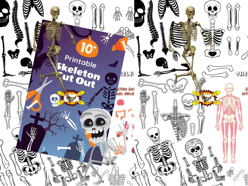 Printable Skeleton Cut Out – Fun & Educational Halloween Craft Template ...