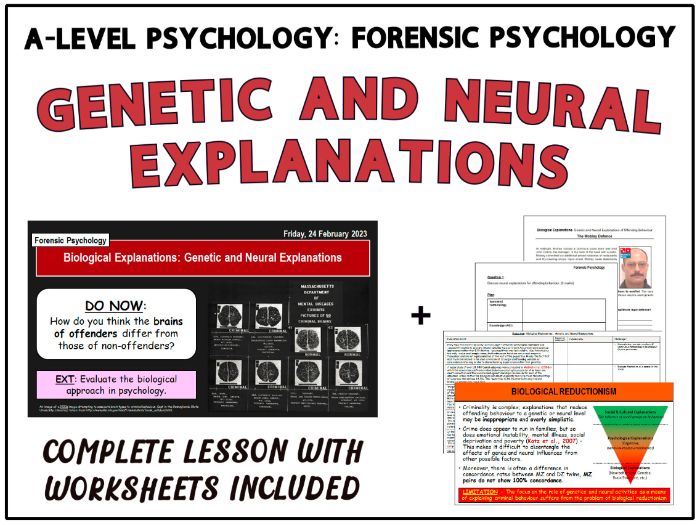 BIOLOGICAL EXPLANATIONS FOR OFFENDING LESSON BUNDLE: Includes Lombroso ...