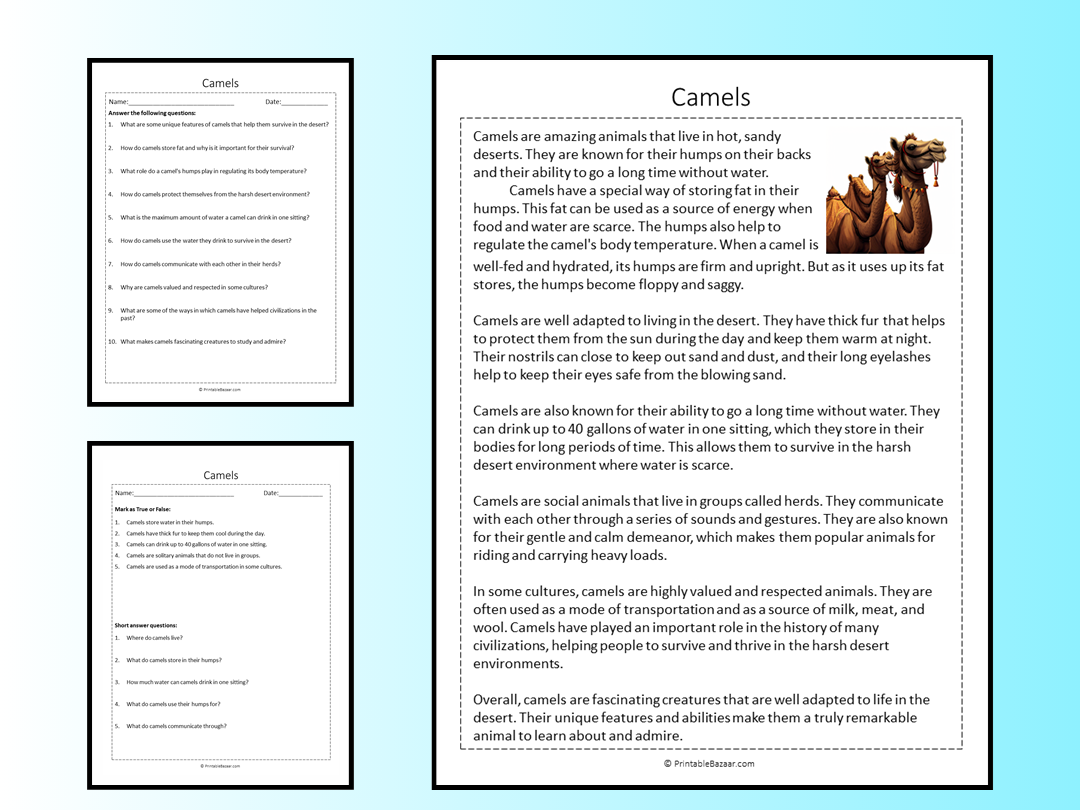 Camels Reading Comprehension Passage Printable Worksheet | Teaching ...