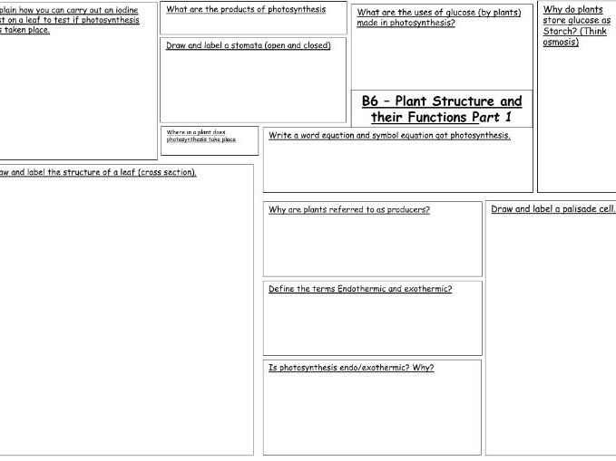 Edexcel 2016 Biology Plant Structures And Their Functions Topic SB6 CB6 