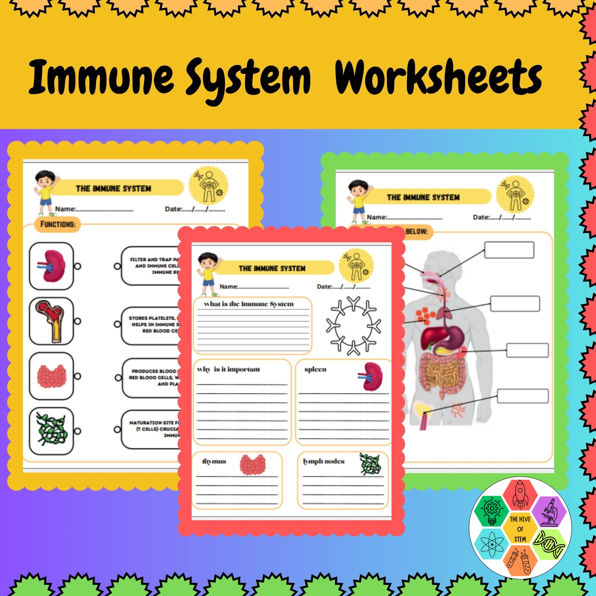 Human Body Systems | Immune System | Worksheets and activities ...
