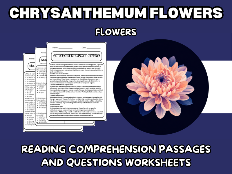 Chrysanthemum Flowers - Flowers Reading Comprehension Passages ...