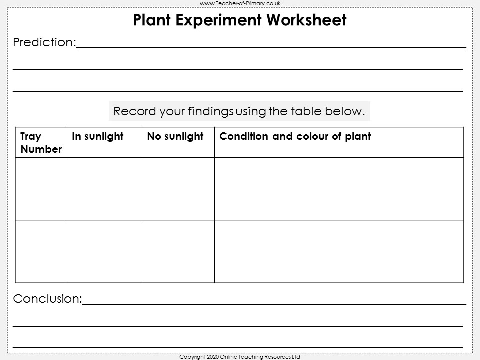 Plant Requirements - Year 3 | Teaching Resources