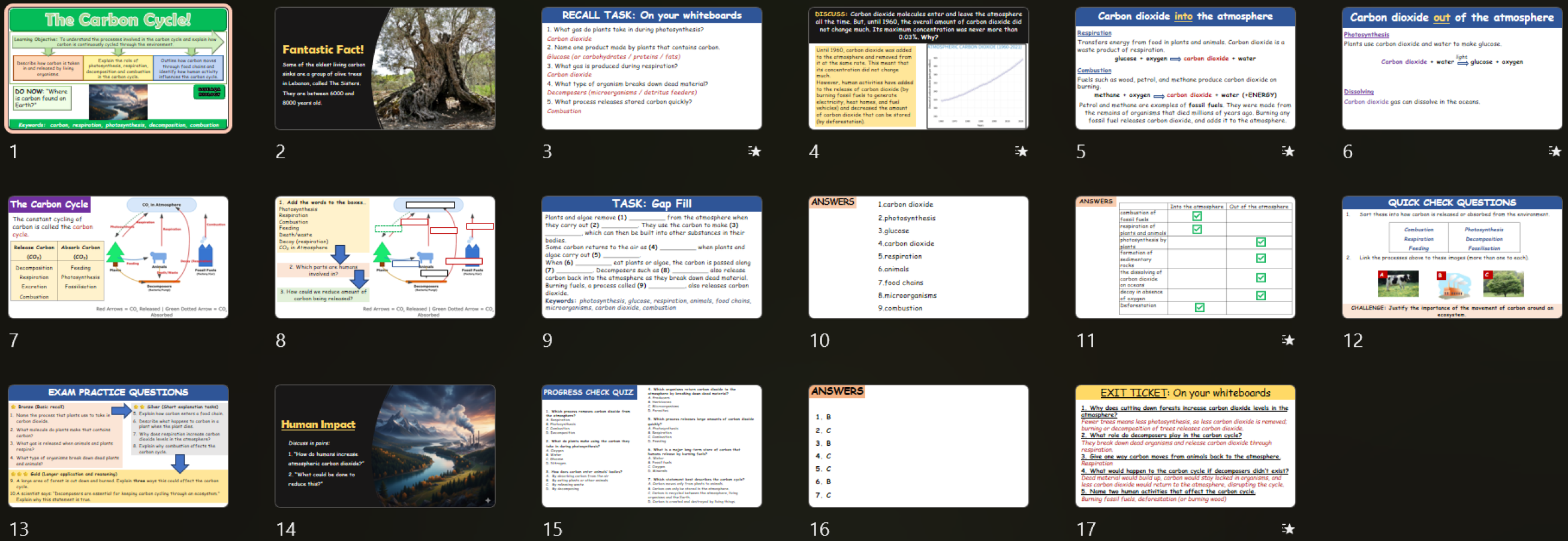 The Carbon Cycle AQA GCSE (9-1) Biology | Teaching Resources