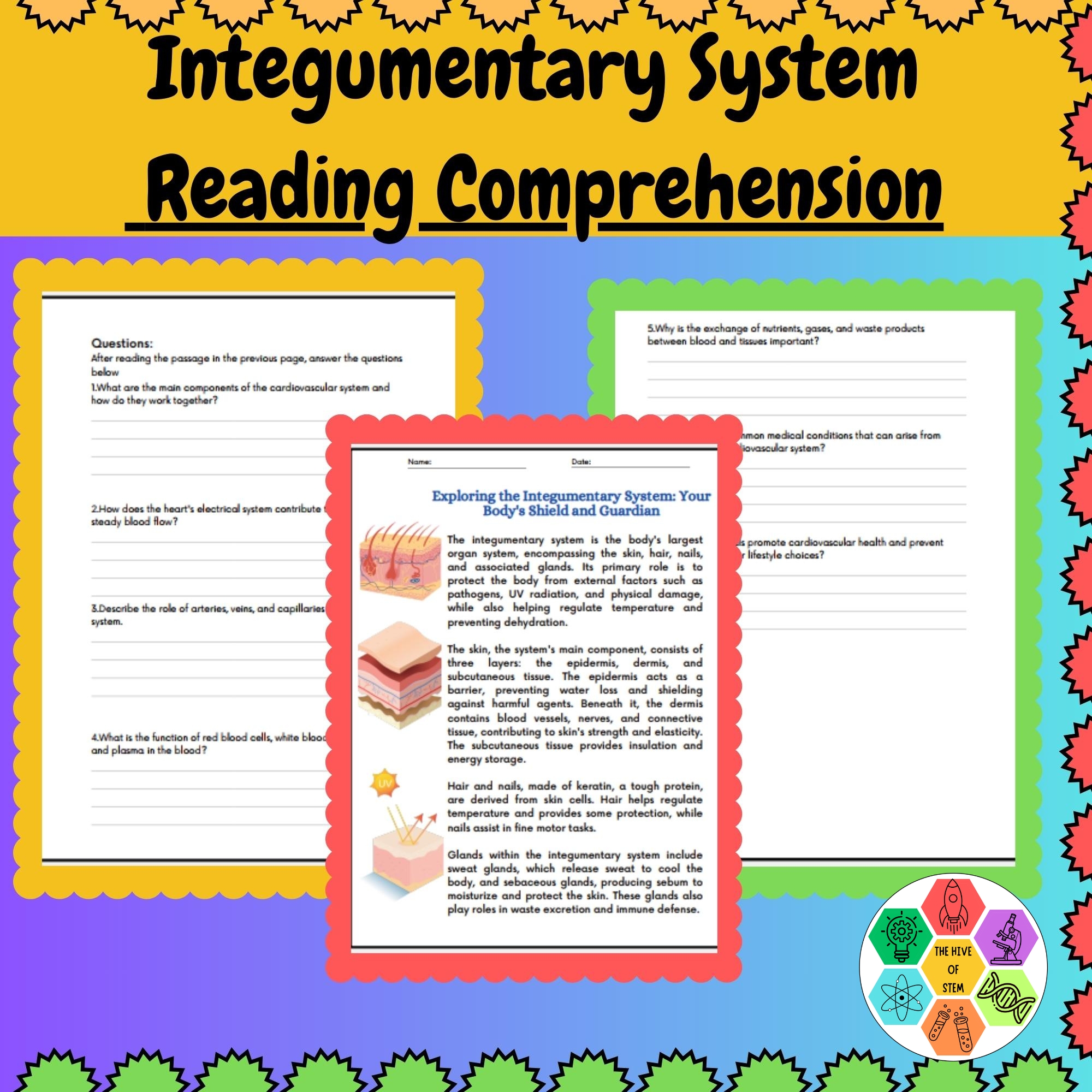 Human Body Systems | Integumentary System | Reading Comprehension ...