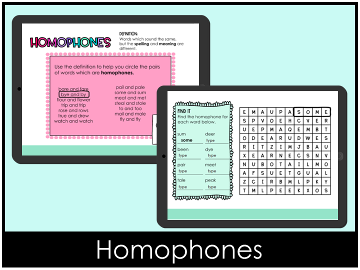 Fun Homophones Worksheets Printable and Digital Slides | Teaching Resources