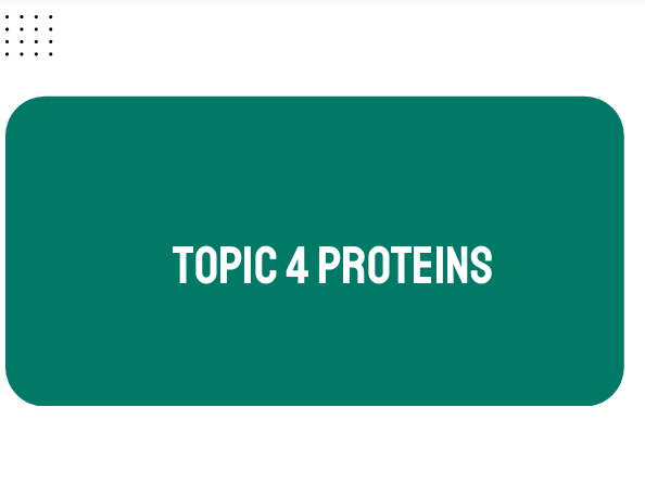 Food and Nutrition: Proteins Lesson | Teaching Resources