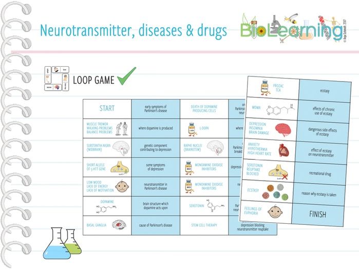 Neurotransmitter, diseases and drugs - Loop Game (KS5) | Teaching Resources