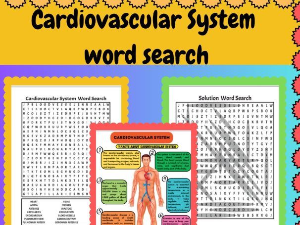 Human Body Systems | Cardiovascular System | Facts and Word Search ...