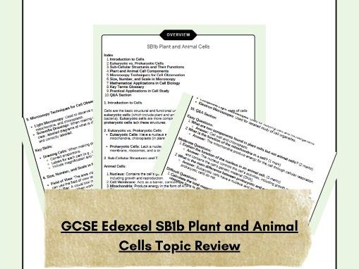 SB1b Animal and Plant Cells GCSE Topic Sheet | Teaching Resources