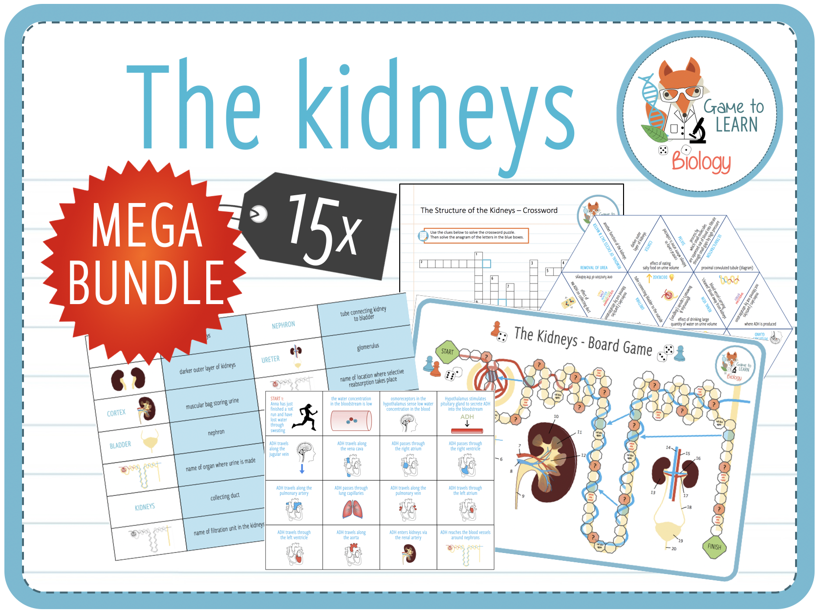 The Kidneys - 15x Activities and Games Bundle (KS4) | Teaching Resources