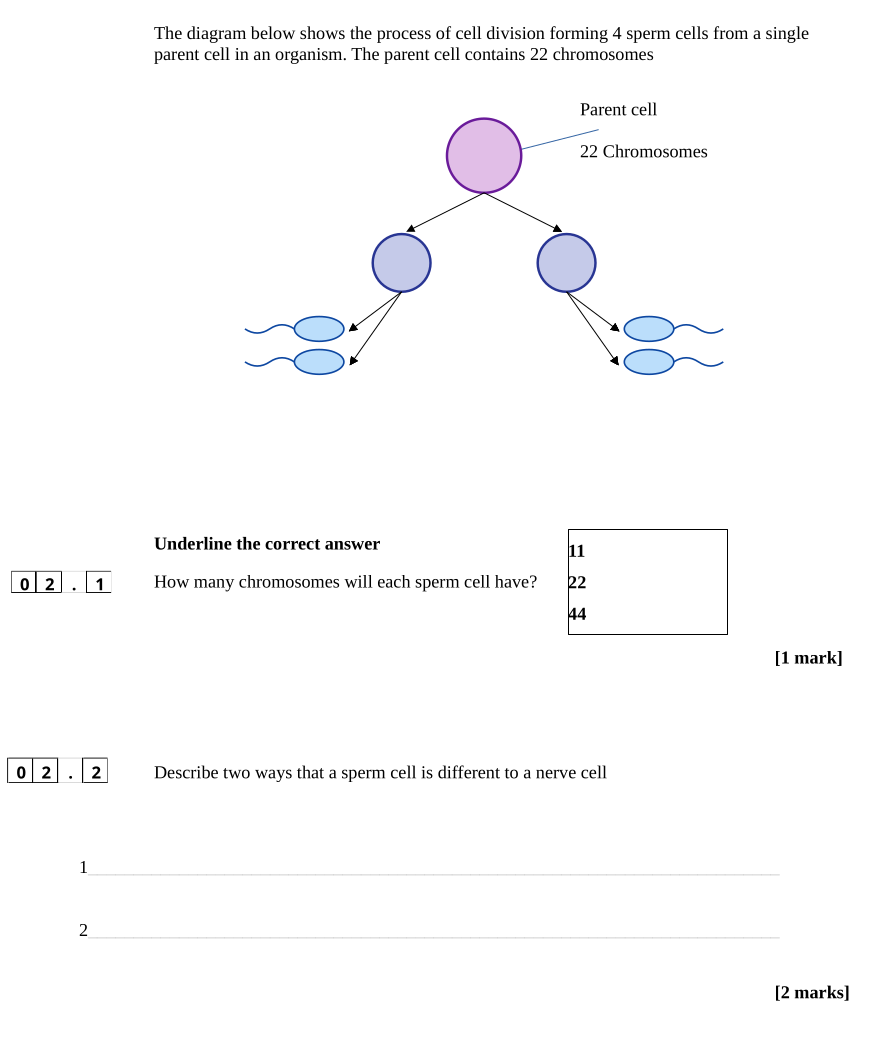 Science ELC Biology 1A - Cells, Genetics, Inheritance and Modification ...