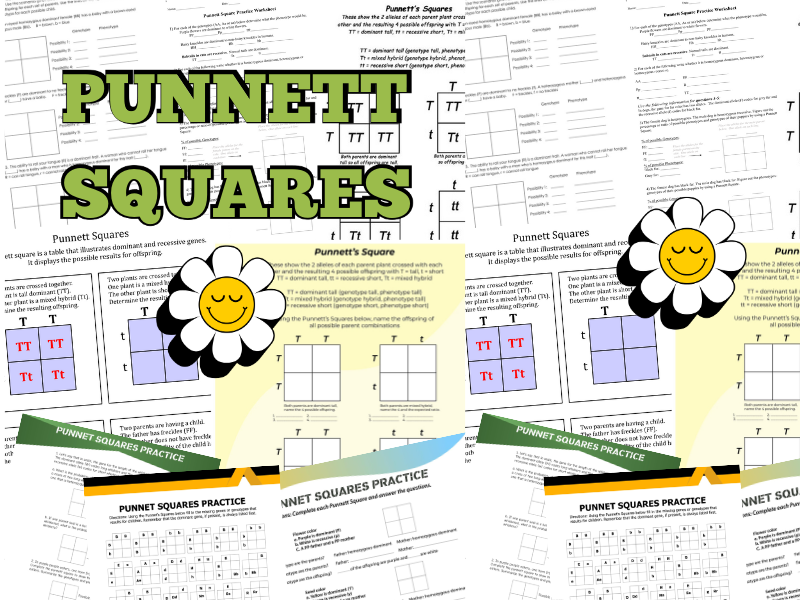 Printable Punnett Squares: Easy Genetics Practice Worksheets for ...