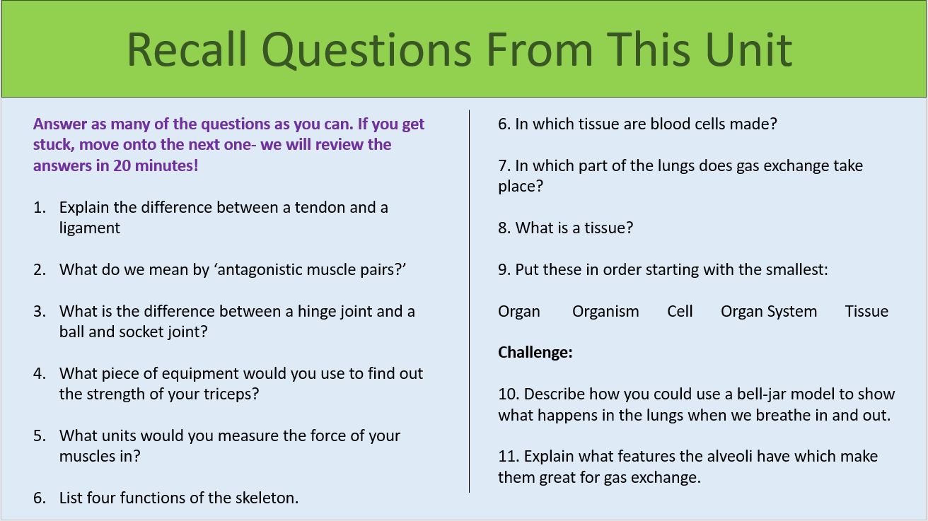 Body Systems ~ KS3 ~ End of Topic Revision ~ Year 7 | Teaching Resources