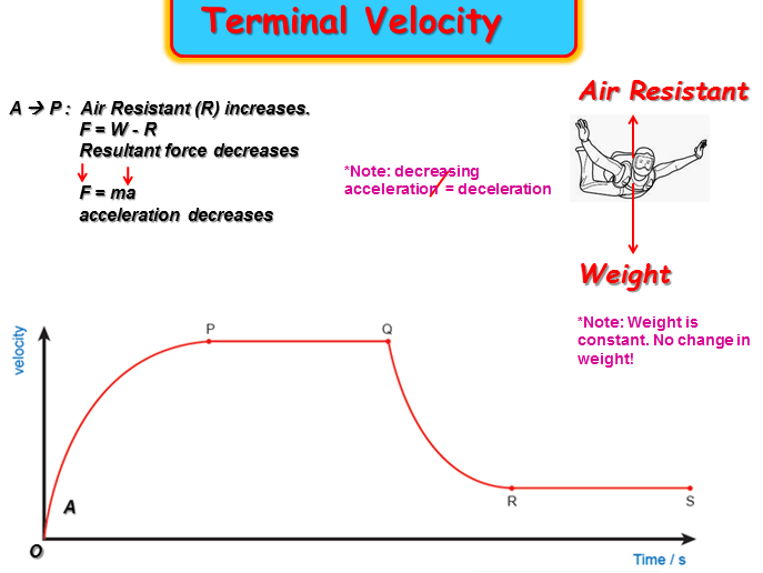 Terminal Velocity Graph