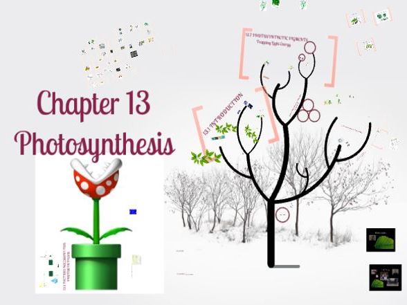 PHOTOSYNTHESIS [A 'Level Biology 9700] | Teaching Resources