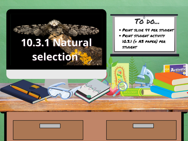 Natural selection | Teaching Resources