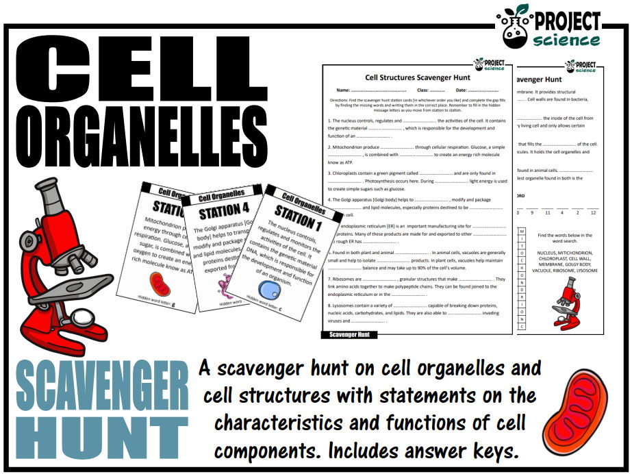 Cell Organelles Scavenger Hunt | Teaching Resources