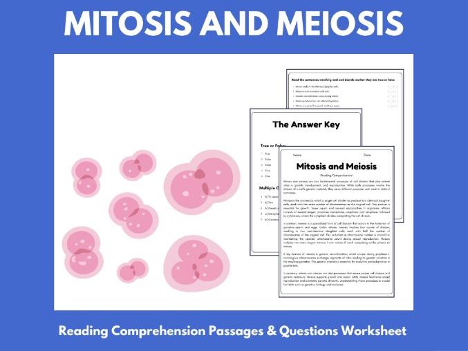 Mitosis and Meiosis: Reading Comprehension Passages & Questions ...