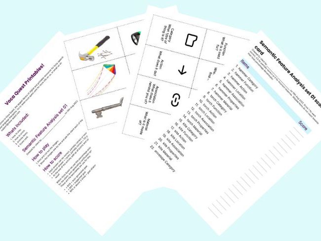 Semantic Feature Analysis Set 01 - Voca Quest Printable | Teaching ...