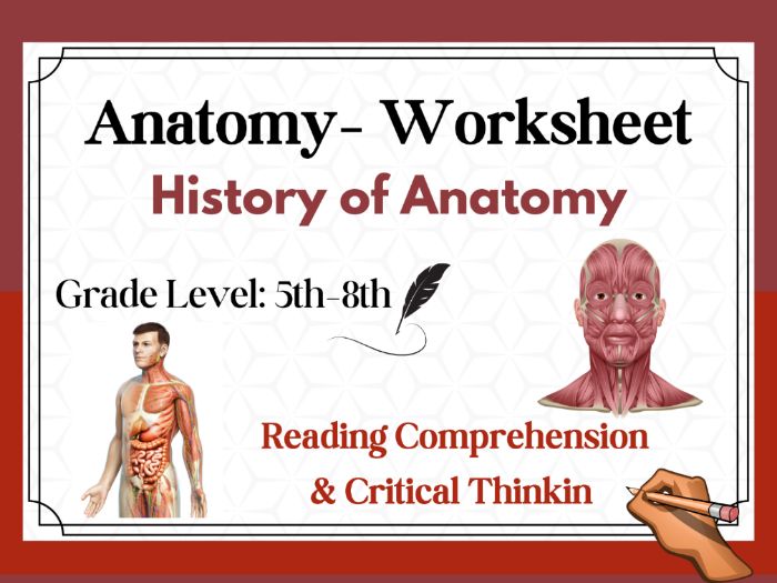 History of Anatomy: Reading Comprehension Passages & Questions ...