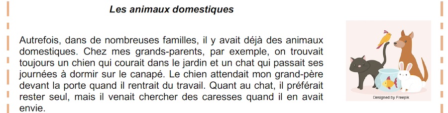 French reading (year 10 or 11 - grade 9 or 10): les animaux domestiques ...