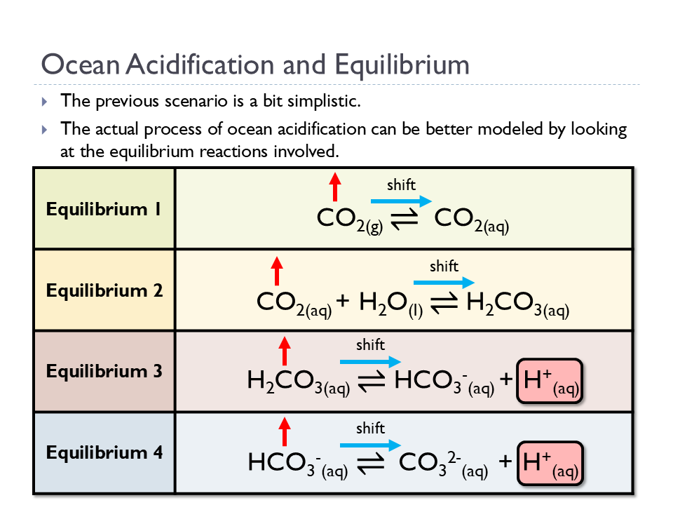 Ocean Acidification (Animated Chemistry PowerPoint) | Teaching Resources