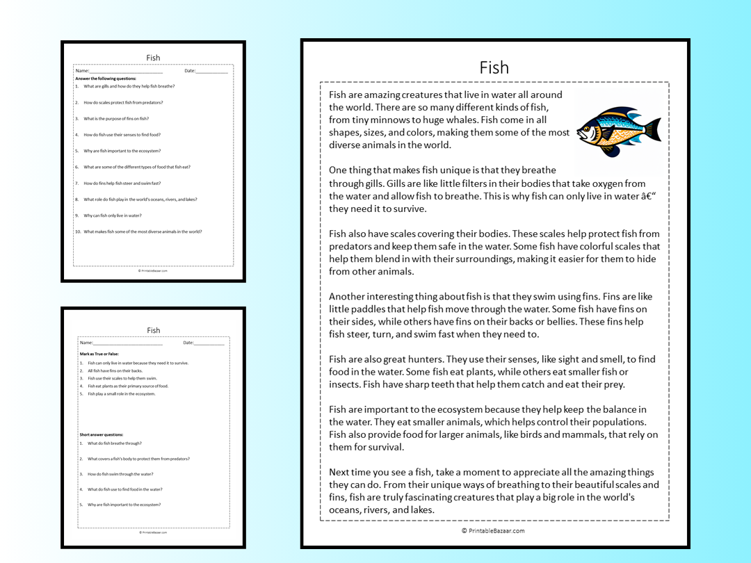 Fish Reading Comprehension Passage Printable Worksheet | Teaching Resources