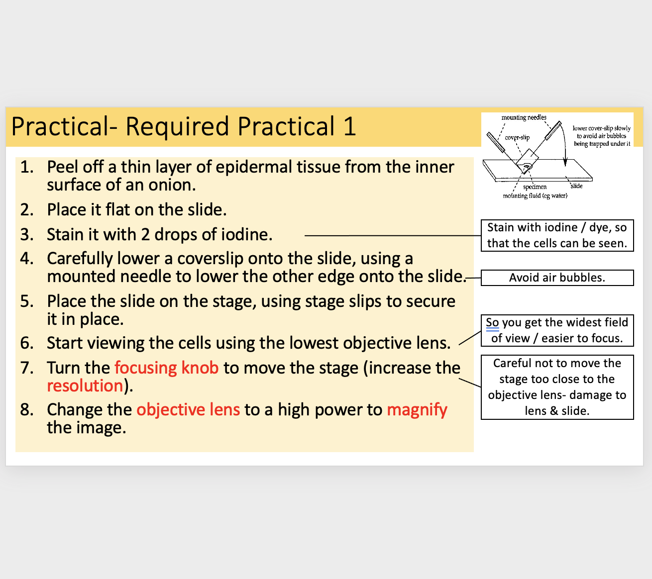 GCSE AQA Triple Science (Biology) Revision 2022 Cell Structure (2 ...