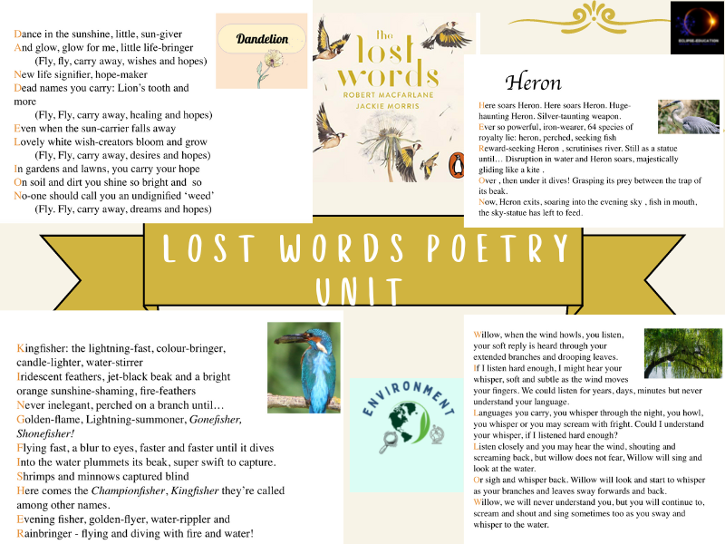 Autumn Literacy Bundle: Lost Words and October, October books. Poetry ...