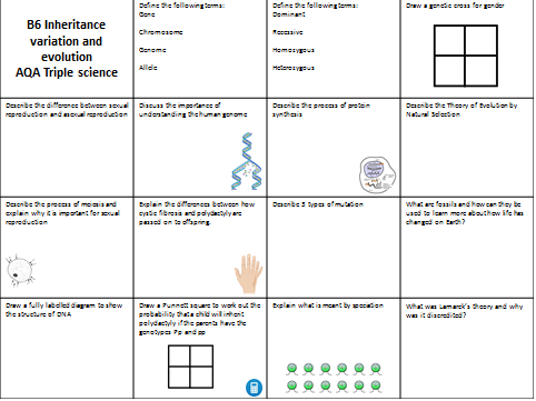 Evolution, inheritance and variation in biology | Tes