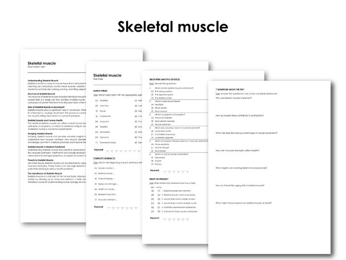 Skeletal muscle | Teaching Resources
