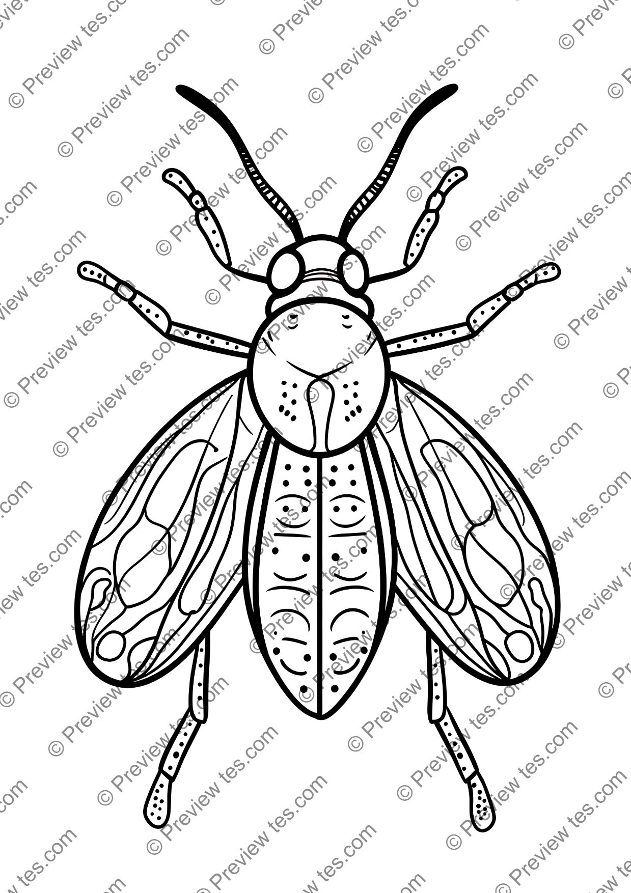 70 Insect Colouring Pages - Butterfly Study | Metamorphosis Activity ...